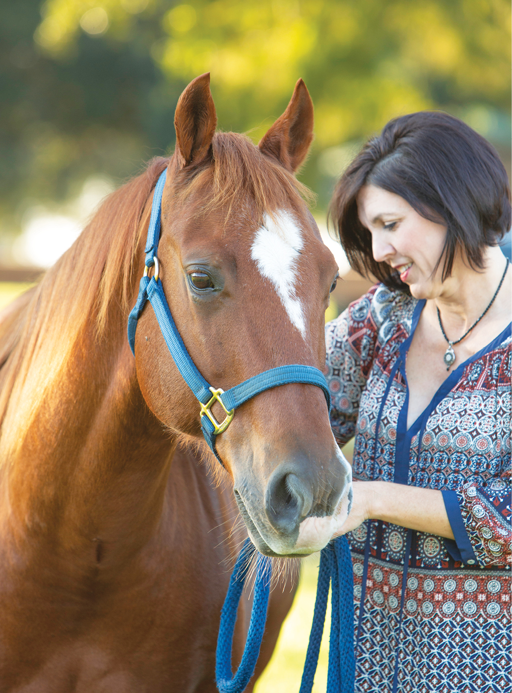 Nice to Meet You - Horse and Rider