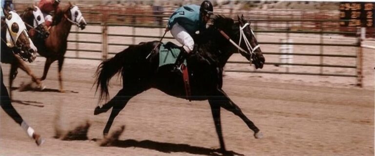Sire Spotlight: The Goodbye Lane - Horse and Rider