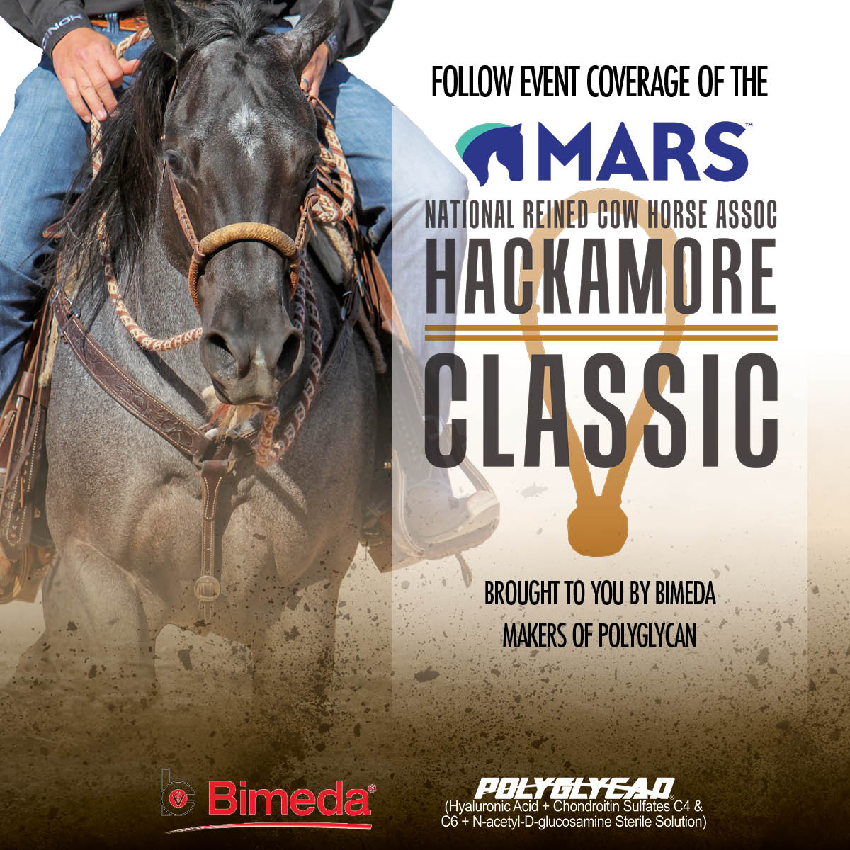 Everything You Need to Know About Our 2024 Hackamore Classic Coverage ...