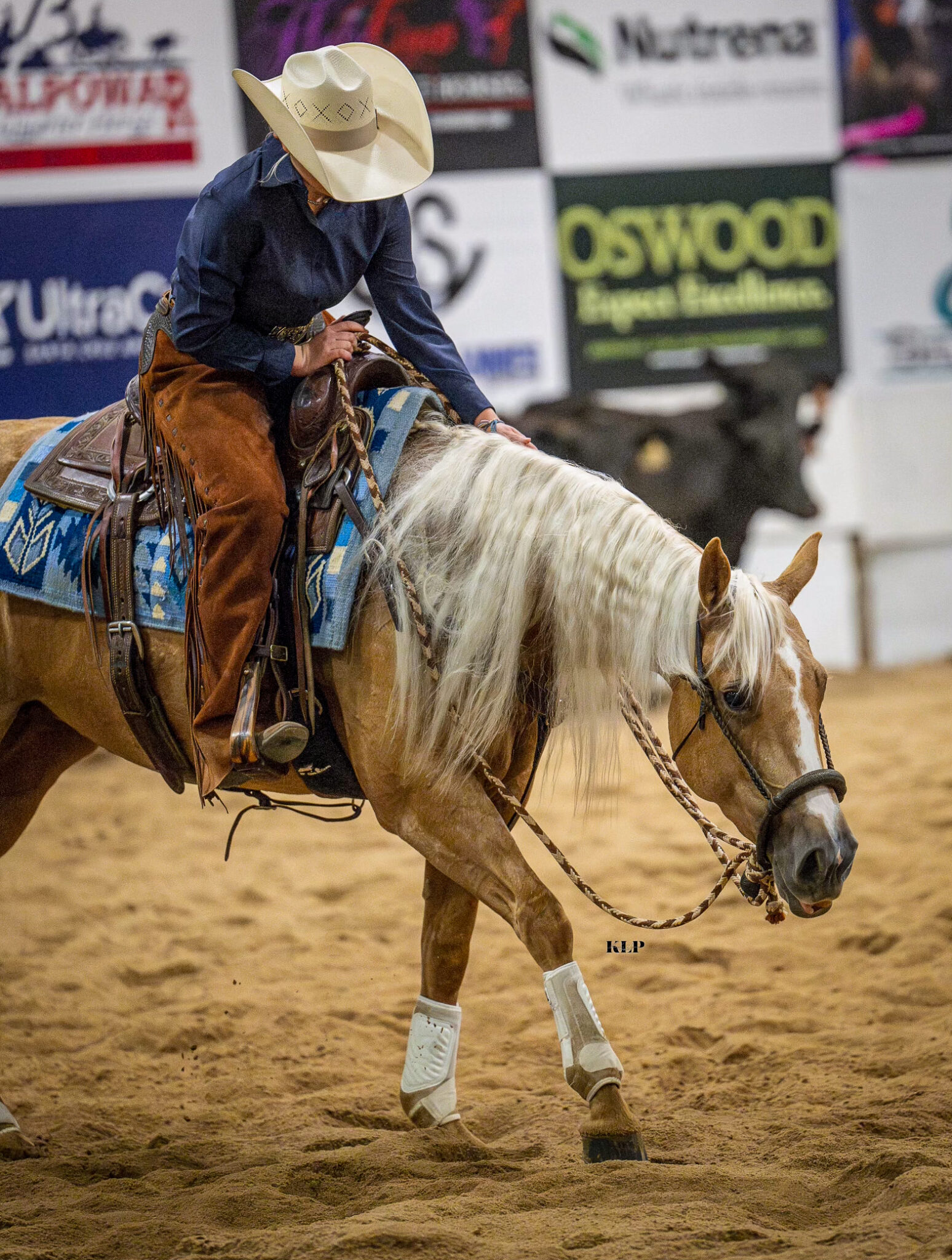 2024 Mars Hackamore Classic Photo Dump - Horse and Rider