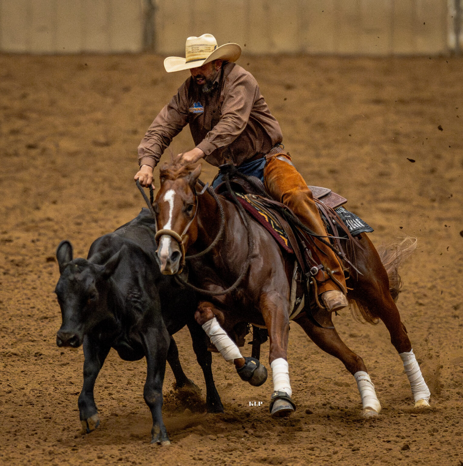 2024 Mars Hackamore Classic Photo Dump - Horse and Rider