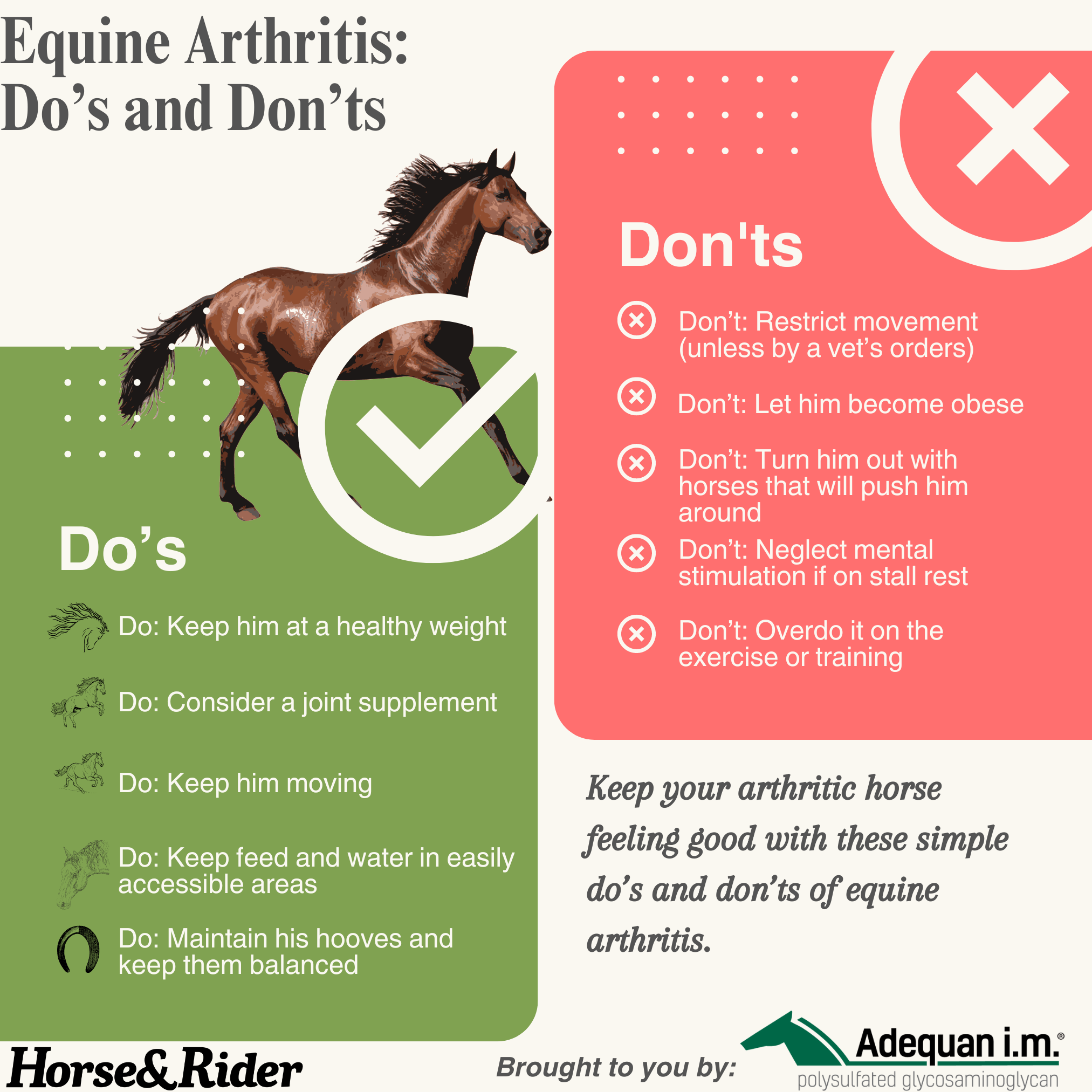 Safeguard Against Arthritis: A Roundup of Infographics - Horse and Rider