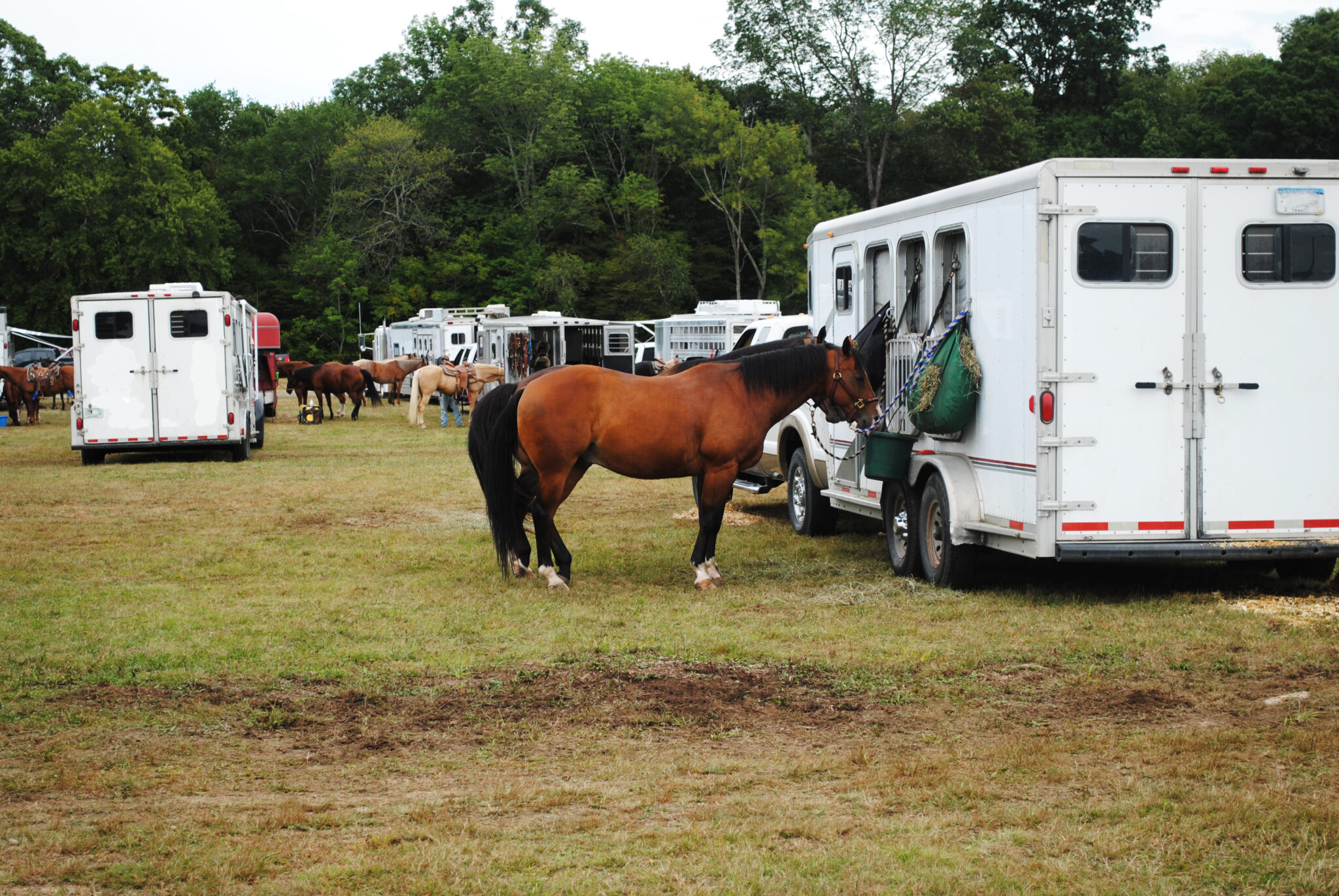 Use This Checklist to Hit the Road Prepared - Horse and Rider