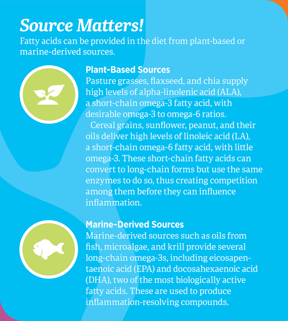 Infographic: Omega Fatty Acids and Finding the Balance - Horse and Rider