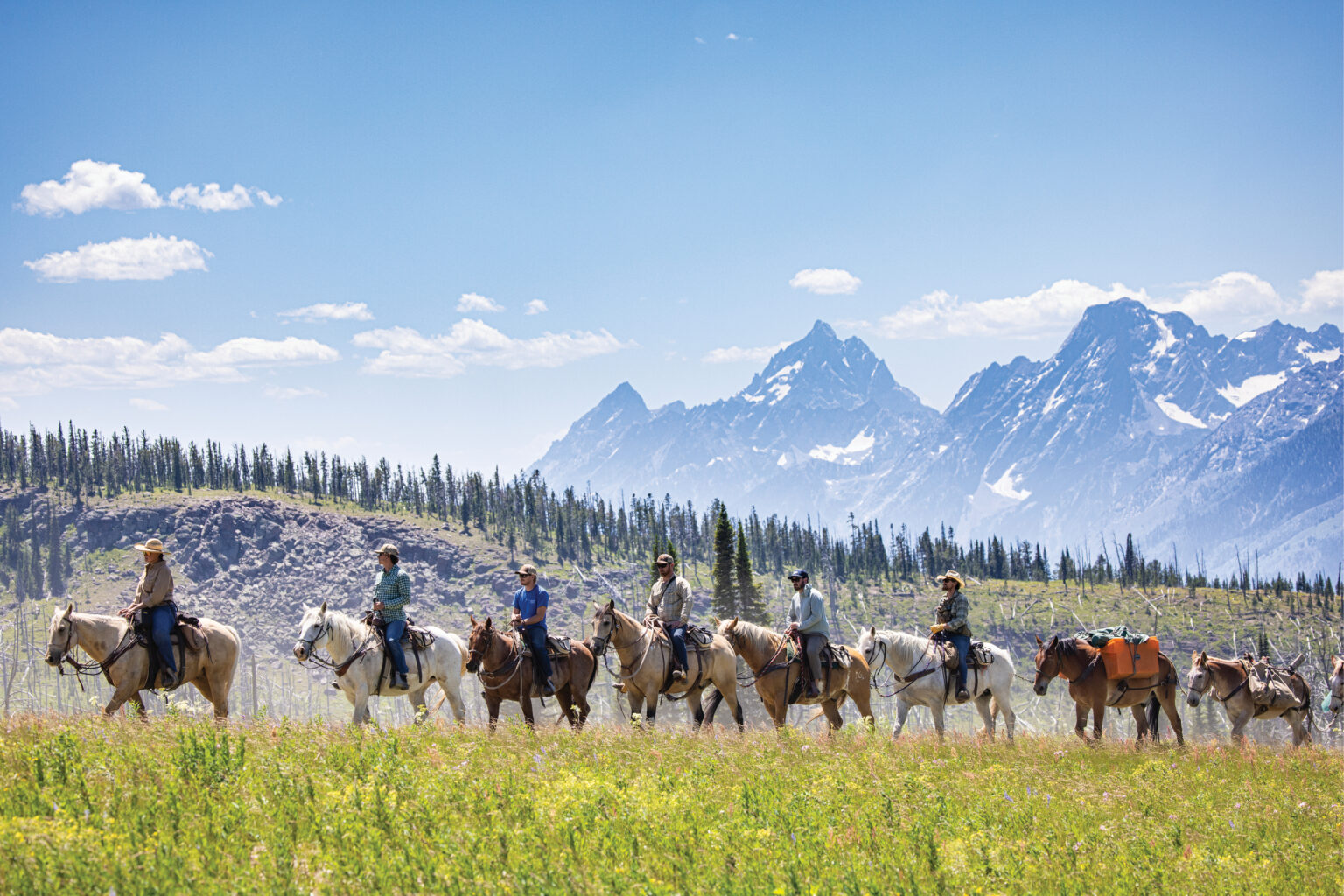 Horse Packing 101 - Horse and Rider