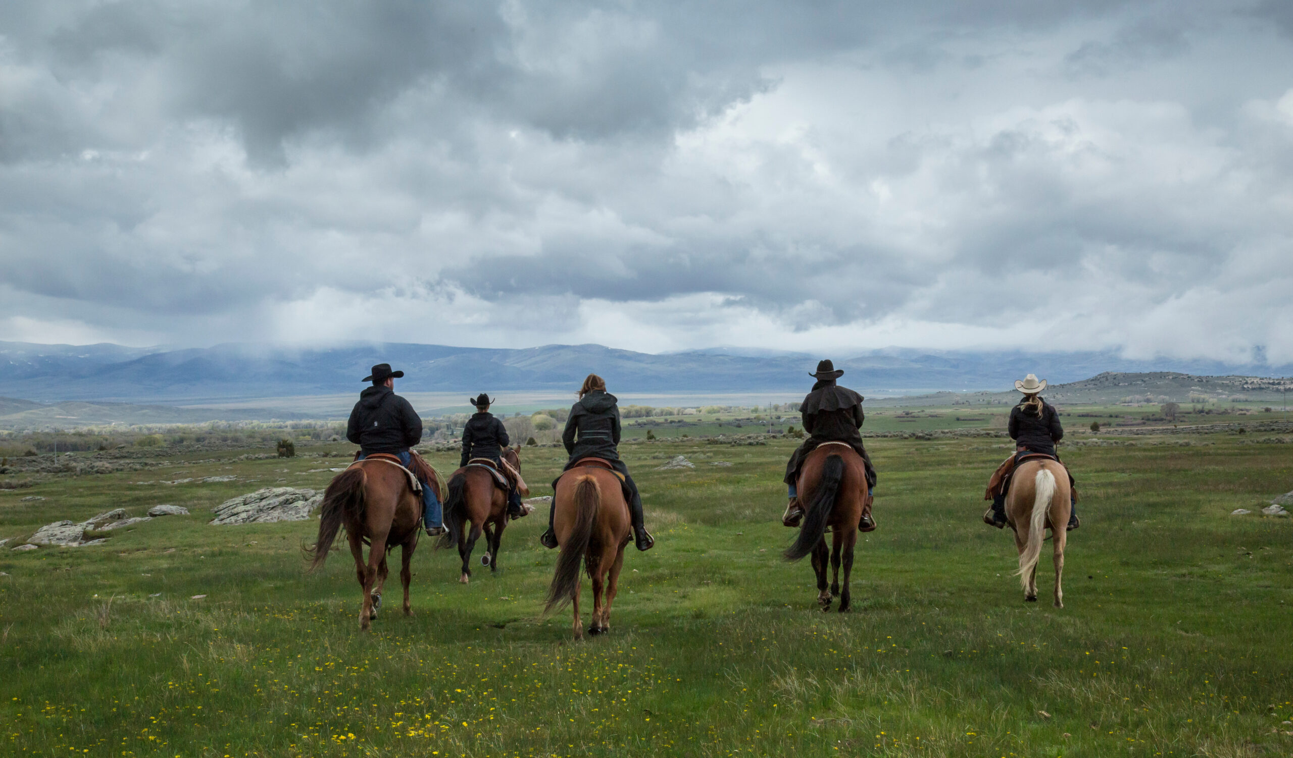 Help Your Horse Adjust To Group Rides - Horse and Rider