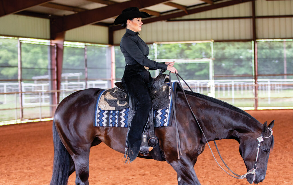 Four-Cone Horsemanship Drill - Horse and Rider