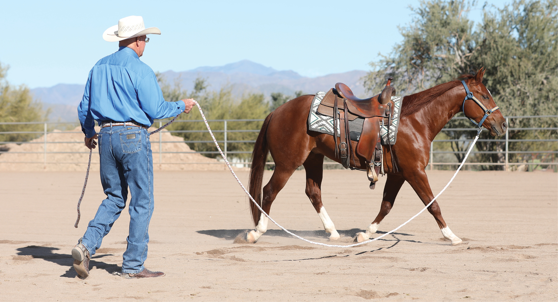 Get Moving on the Longe Line - Horse and Rider