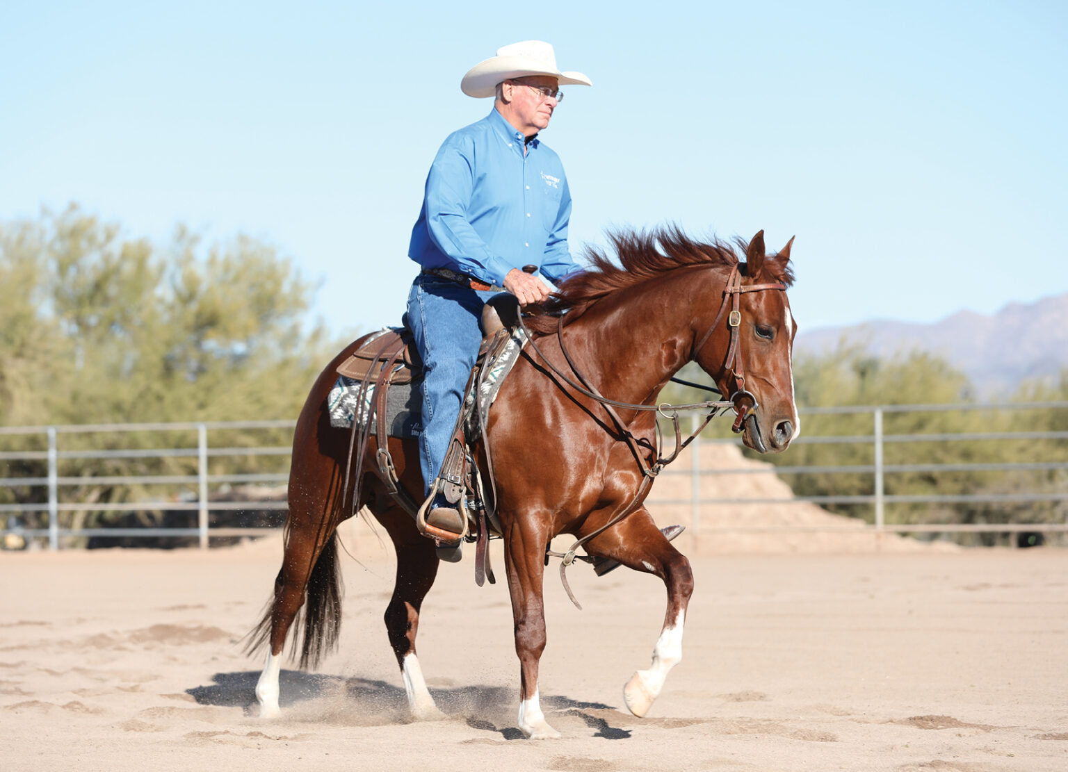Get Moving on the Longe Line - Horse and Rider