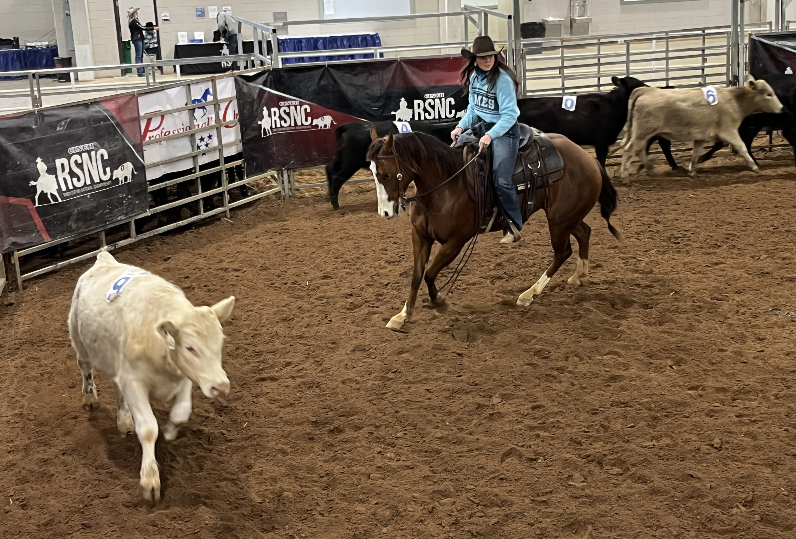 Final Results from the SE Regional Super Sort, Now On-Demand