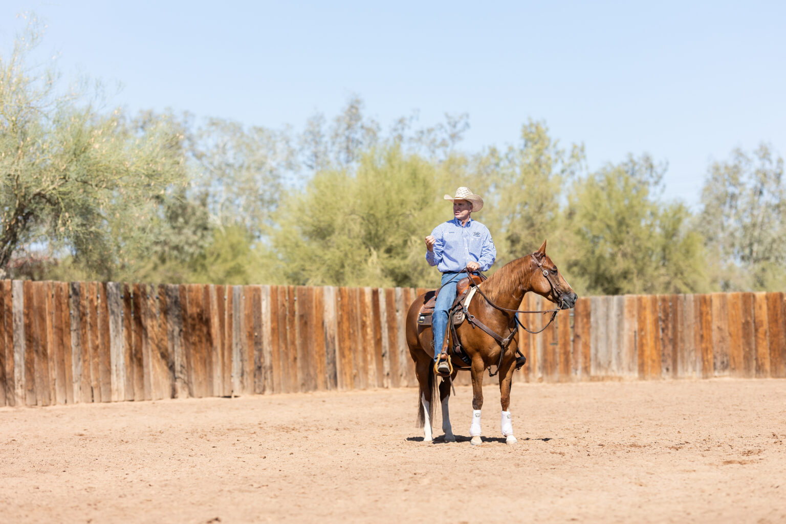 Perfecting the Stop, a Key to Reined Cow Horse Success - Horse and Rider