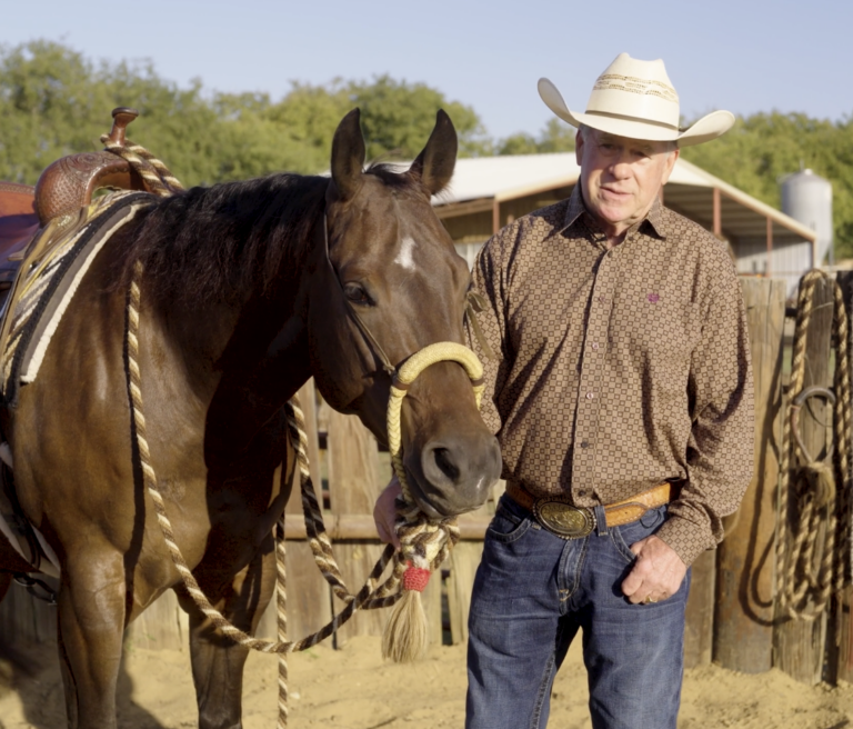 The Secrets to Hackamore Fit and Function - Horse and Rider