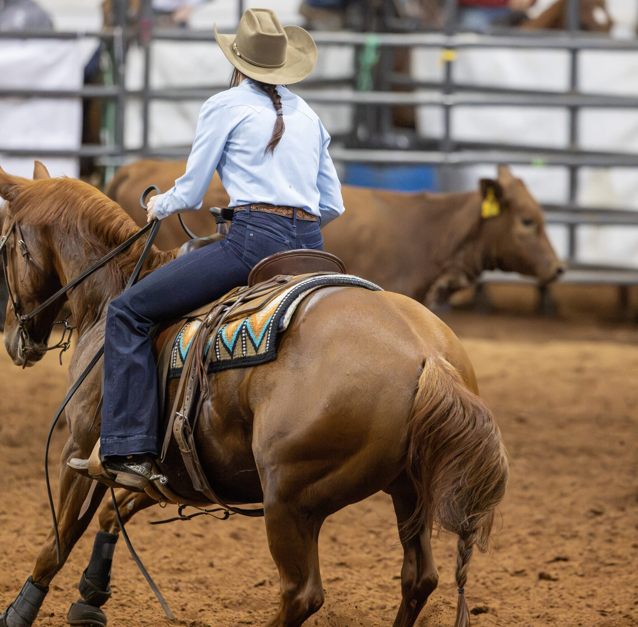 The Sport of Ranch Sorting Returns to RodeoHouston in 2025