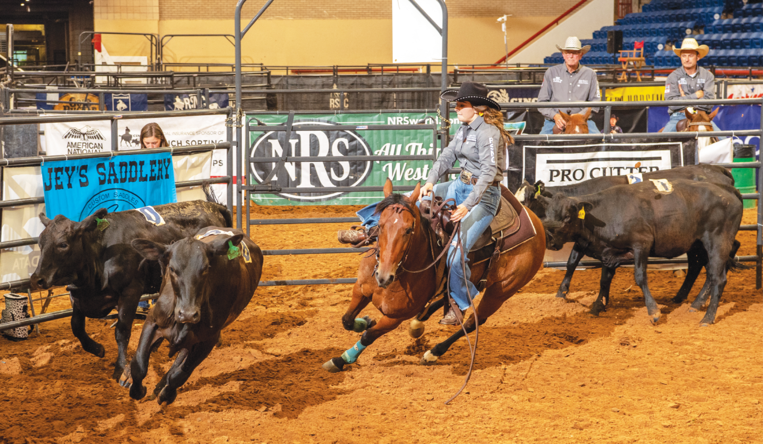 Fort Worth: Host of the Cinch RSNC Ranch Sorting Finals