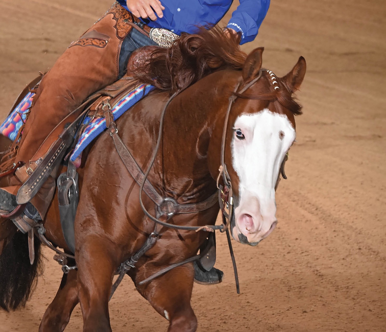 Riders Secure Spots for 2025 The Run For A Million - Horse and Rider