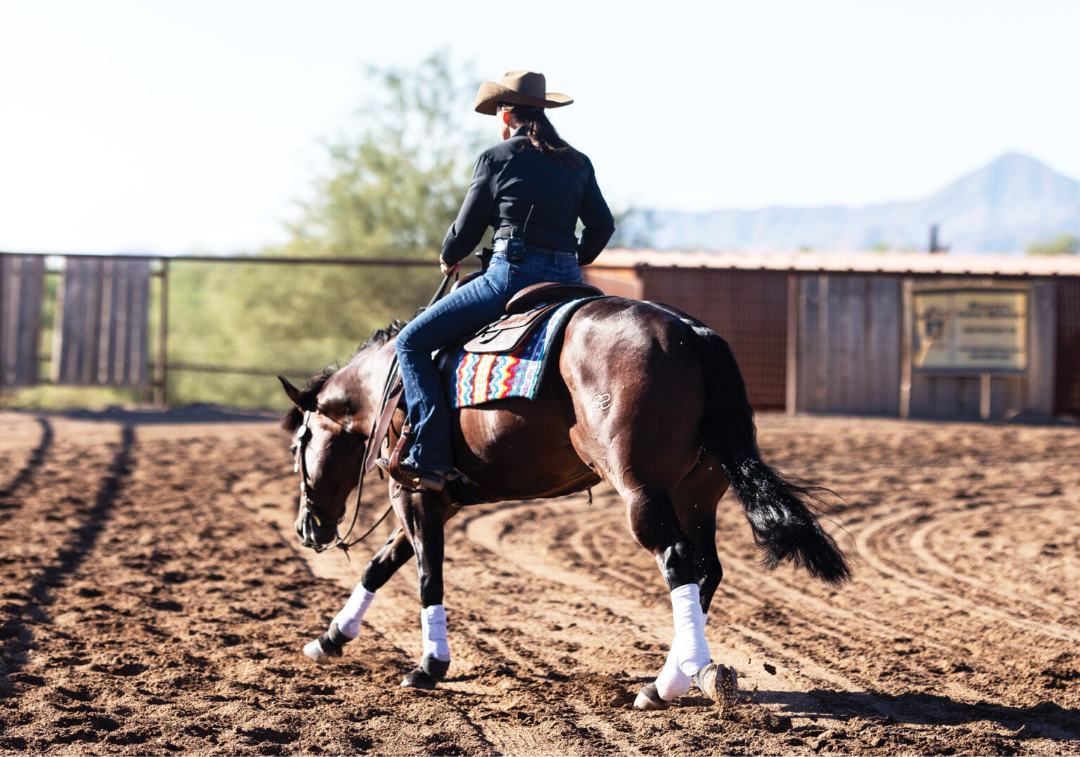 Reining Circle Secrets - Horse and Rider
