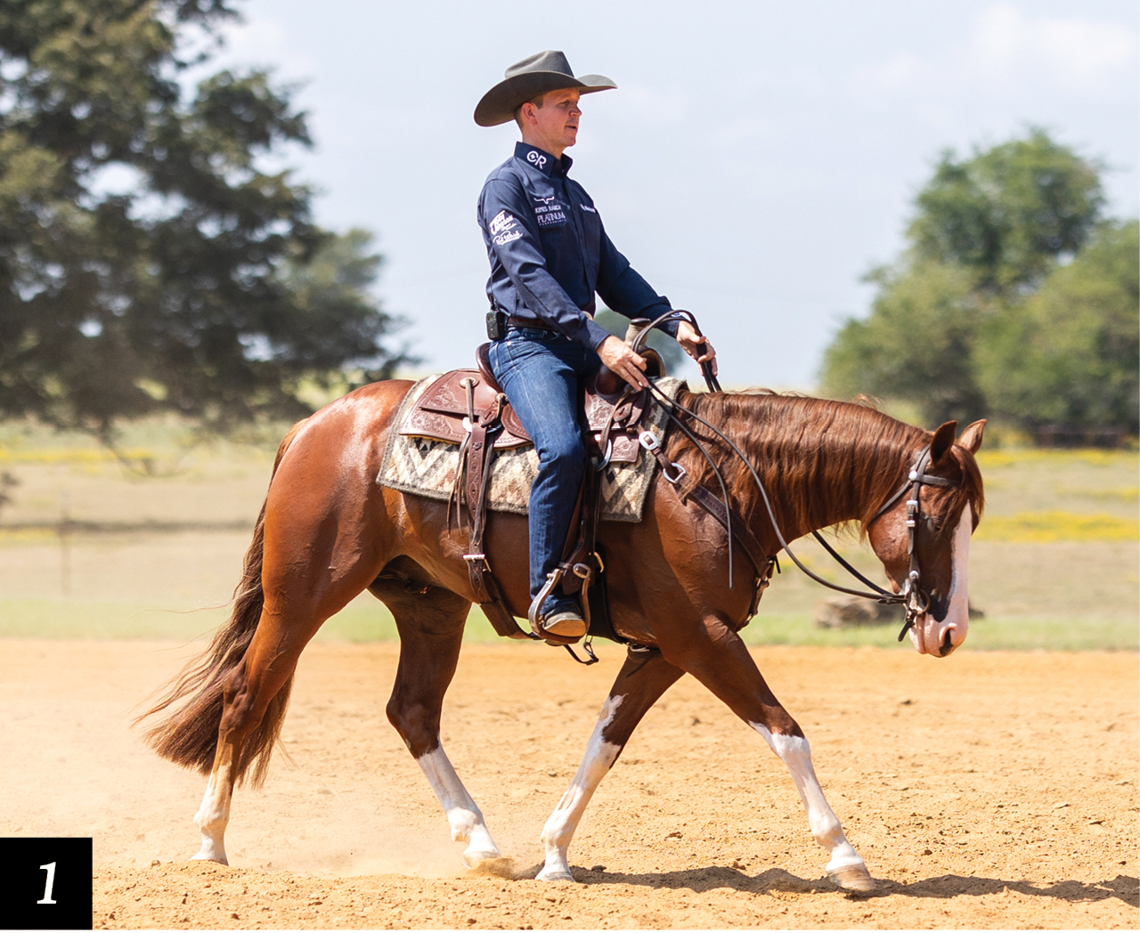 Ranch Riding Trot Logs - Horse and Rider