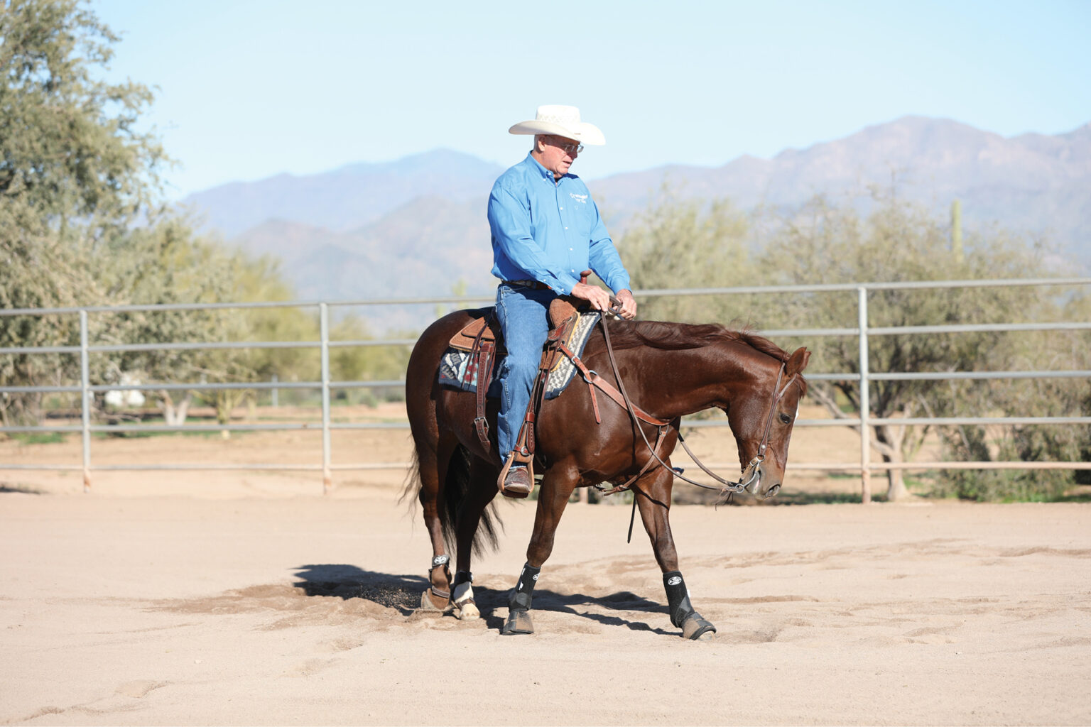 Finesse Your Neck Reining - Horse and Rider