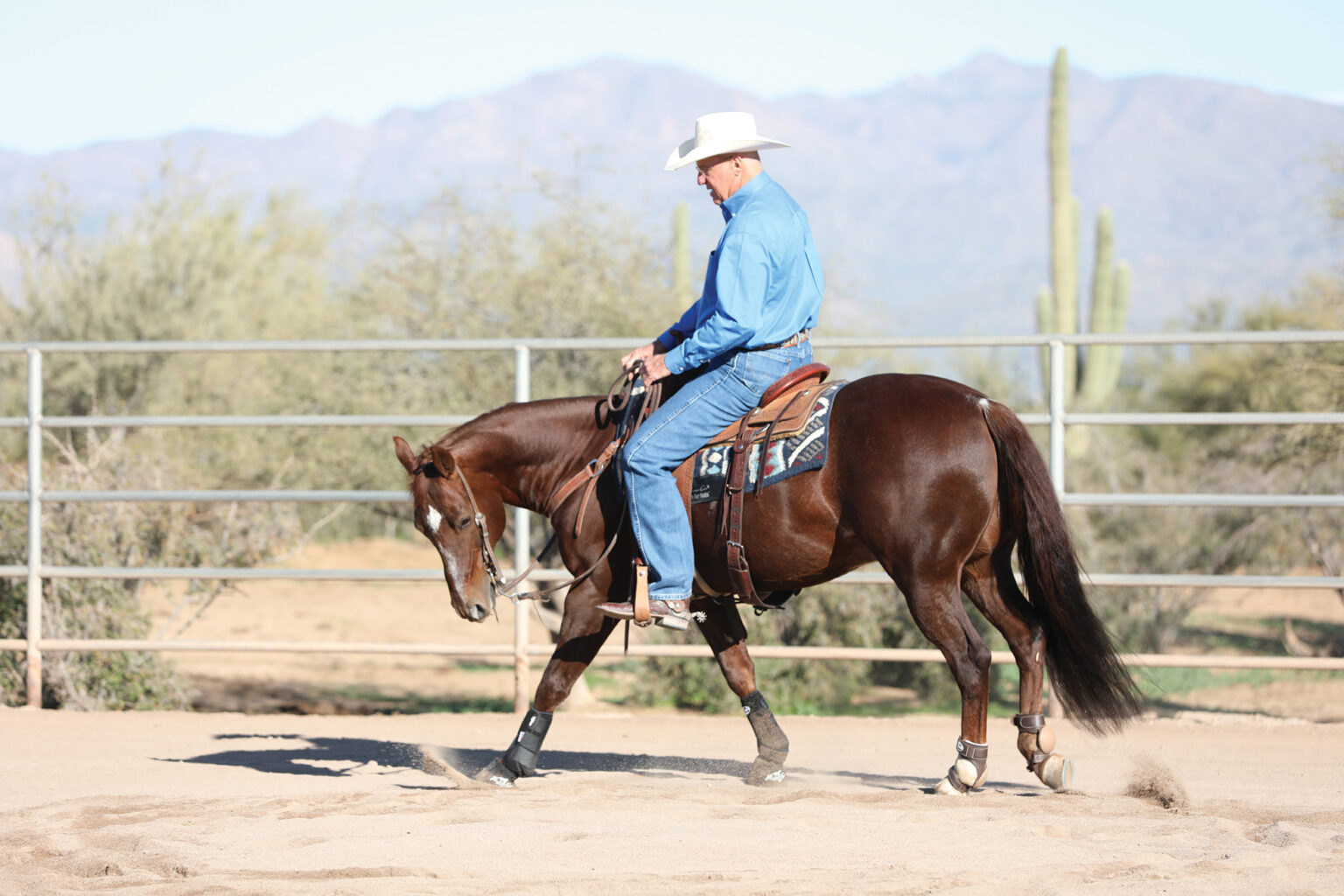 Finesse Your Neck Reining - Horse and Rider