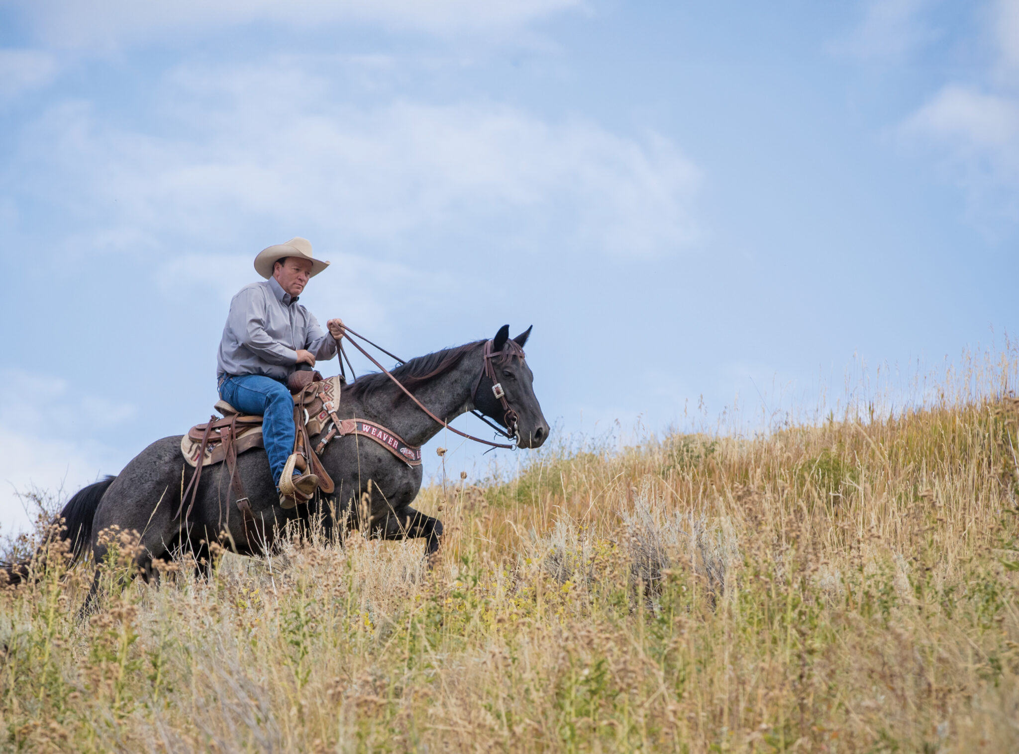 Techniques for the Trail - Horse and Rider