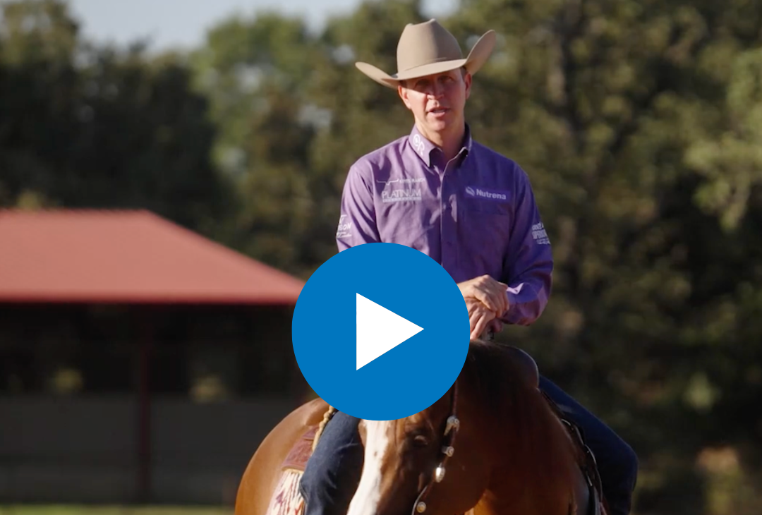 Simplifying Simple Lead Changes with Bud Lyon - Horse and Rider