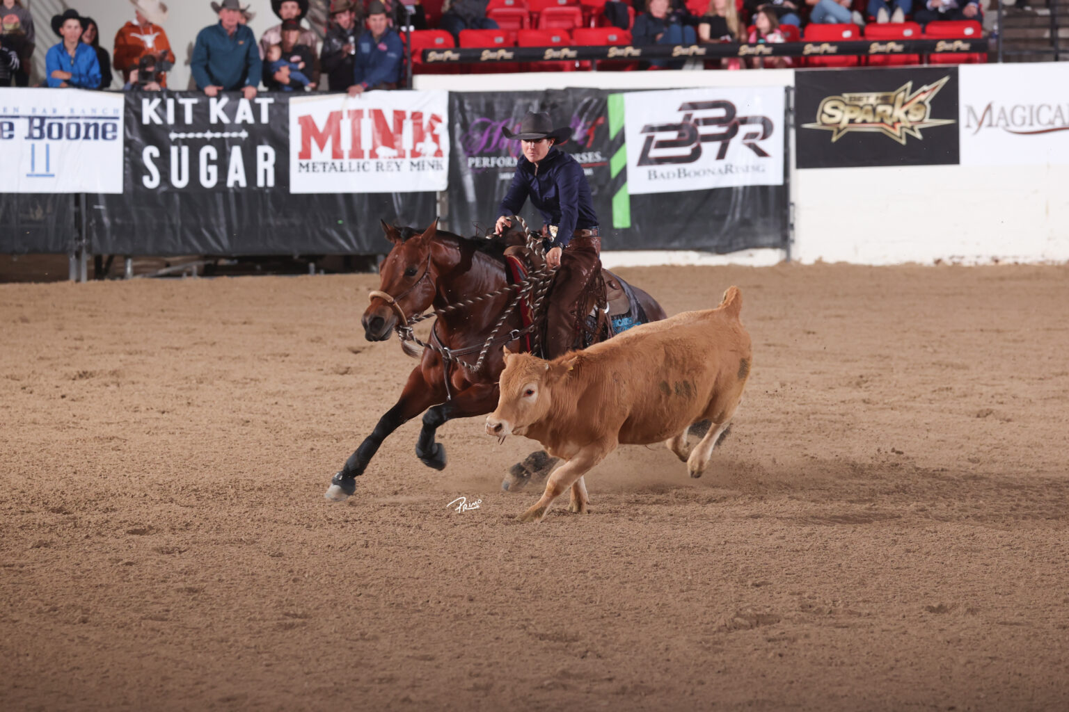 $1 Million NRCHA Stallion Stakes Takes Vegas April 3-13, 2025 - Horse ...