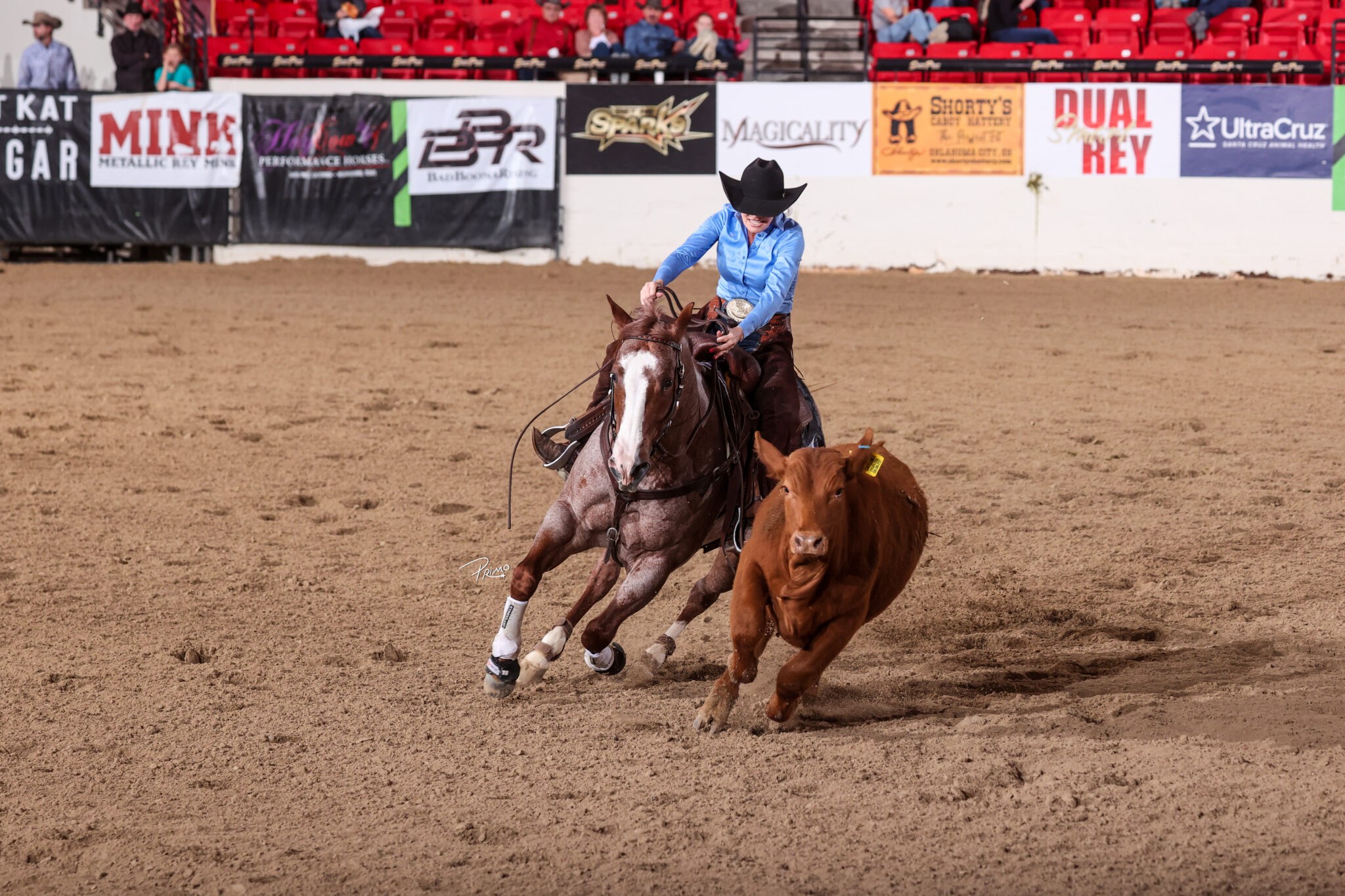 $1 Million NRCHA Stallion Stakes Takes Vegas April 3-13, 2025 - Horse ...