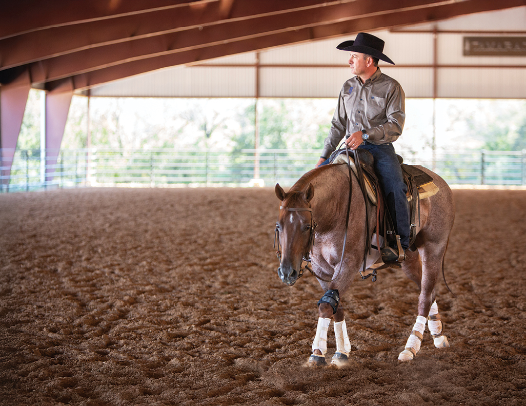 Andrea Fappani Is All In on Cow Horse Events