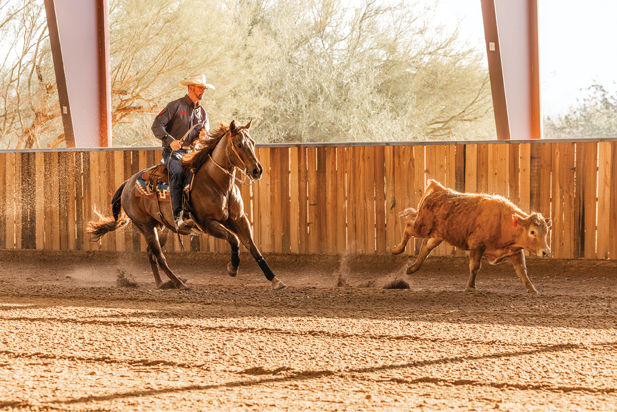 Build Confidence in NRCHA's New Box-Drive Class - Horse and Rider
