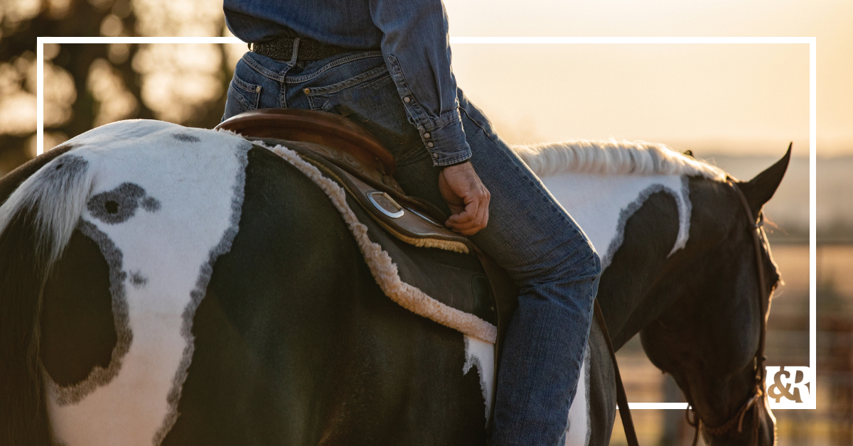Improve Your Horse Show Warm-Up and Cool-Down Routines