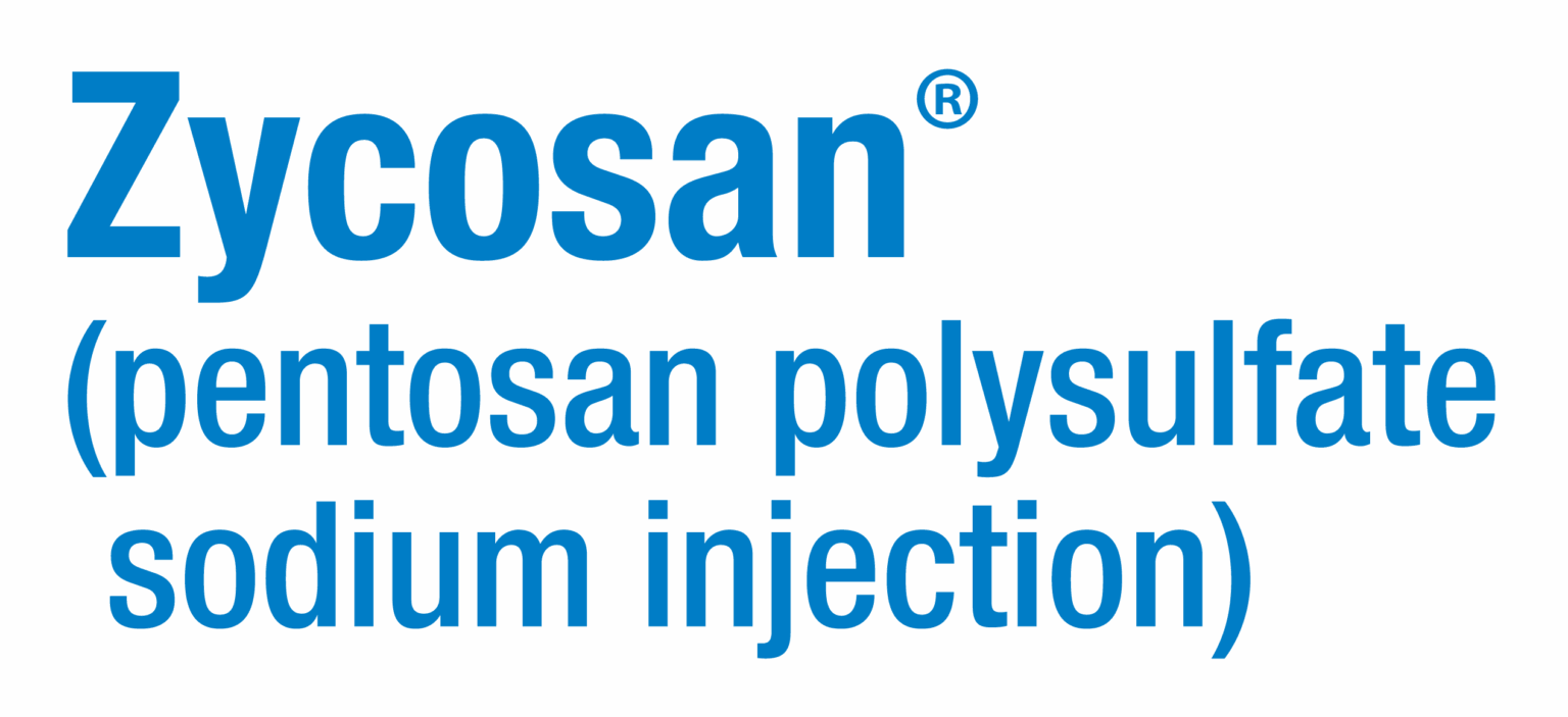 Common Treatment Options for Equine Osteoarthritis - Horse and Rider