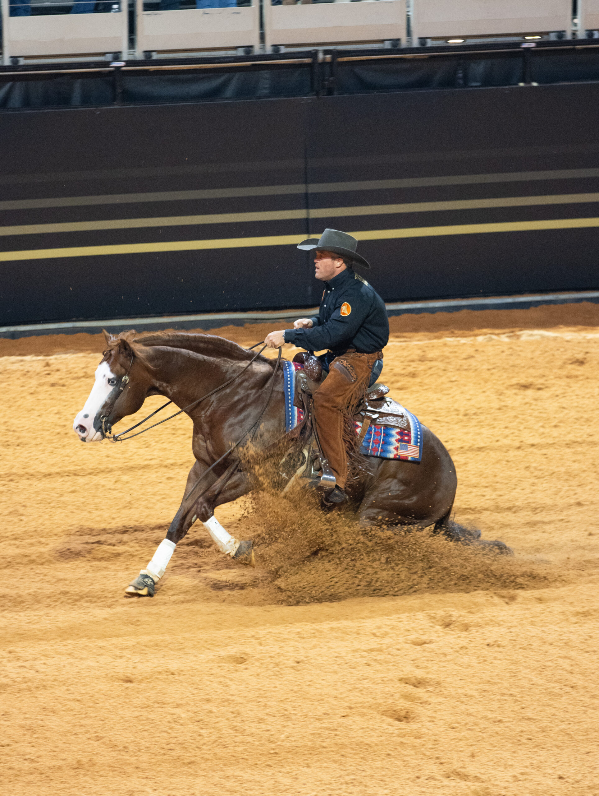 Down Right Amazing Earns $1 Million in Reining with Casey Deary - Horse ...