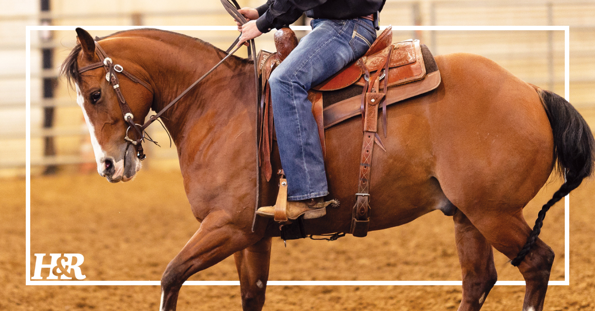 Ranch Sorting Drill: Back Up to Move Forward