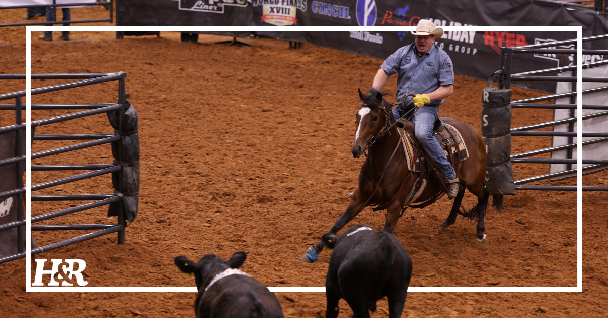 Build a Solid Foundation with Big Gate Rollbacks