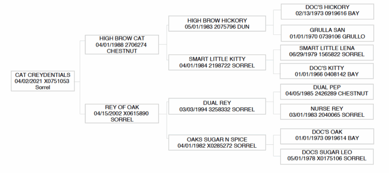 Chrome Cash Success for Travis Freiheit and Cat Creydentials