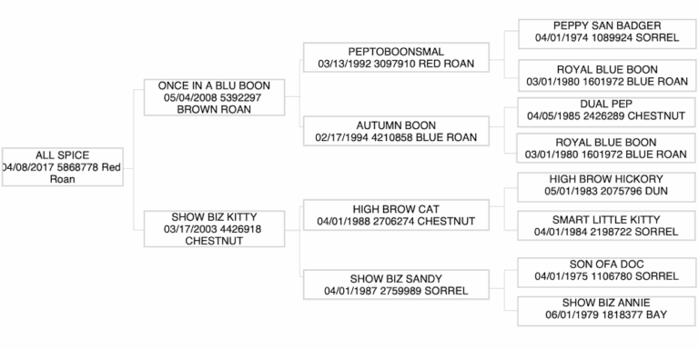 5 Horses to Watch at the Teton Ridge Dispersal Sale