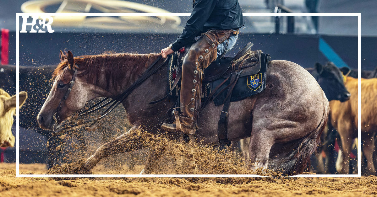 5 Horses to Watch at the Teton Ridge Dispersal Sale