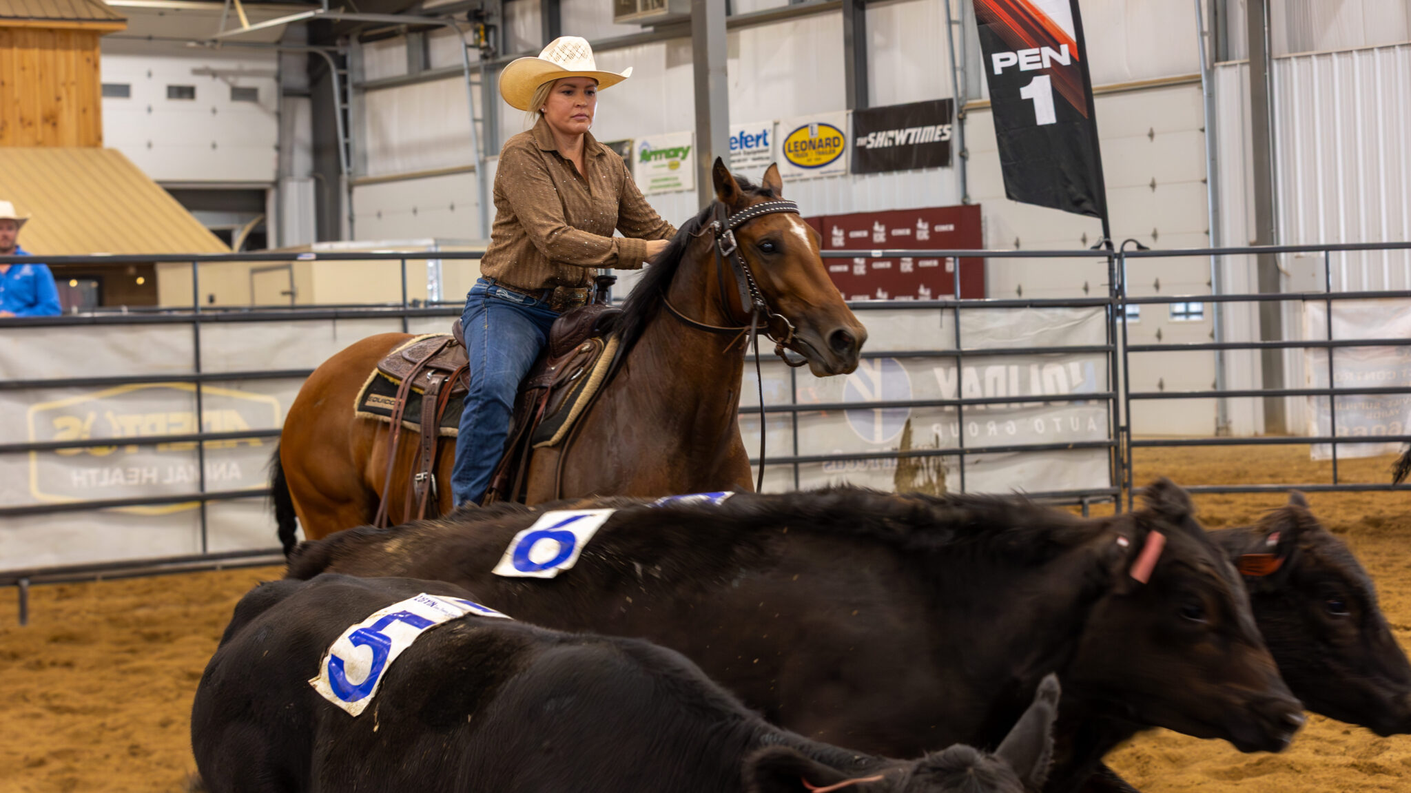 The Ultimate Guide to the All American Quarter Horse Congress