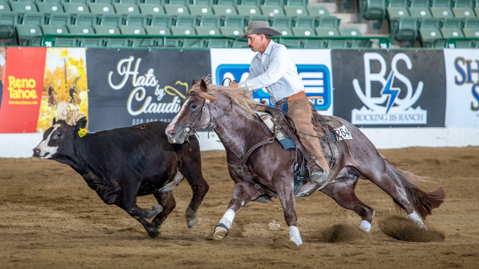 Nick Dowers & Tha Rizzler Win Reno Snaffle Bit Futurity Open