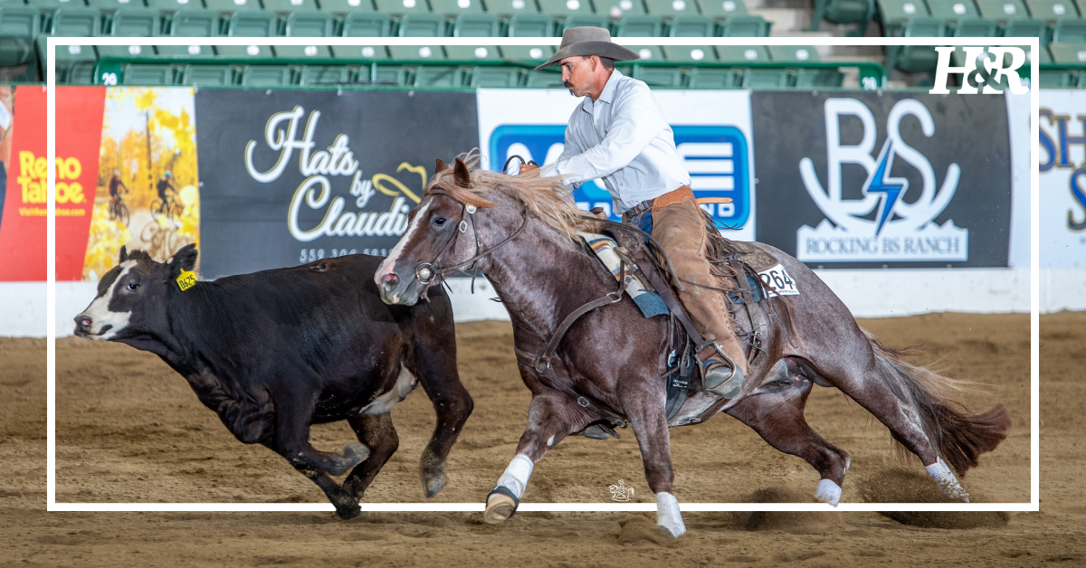 Nick Dowers & Tha Rizzler Win Reno Snaffle Bit Futurity Open