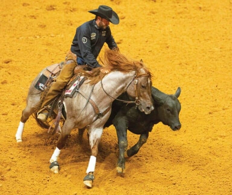 Quick Guide to the 2025 NRCHA Snaffle Bit Futurity