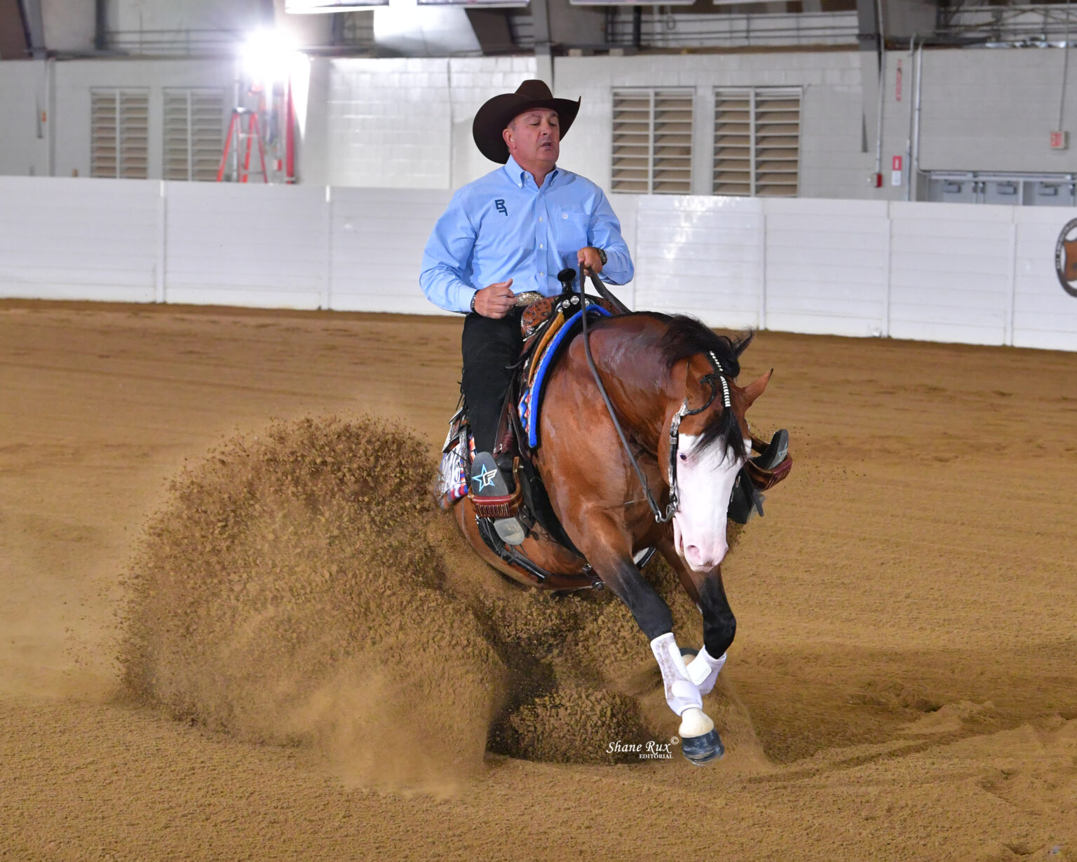 Reiners Shine at the 2025 All-American Quarter Horse Congress - Horse ...