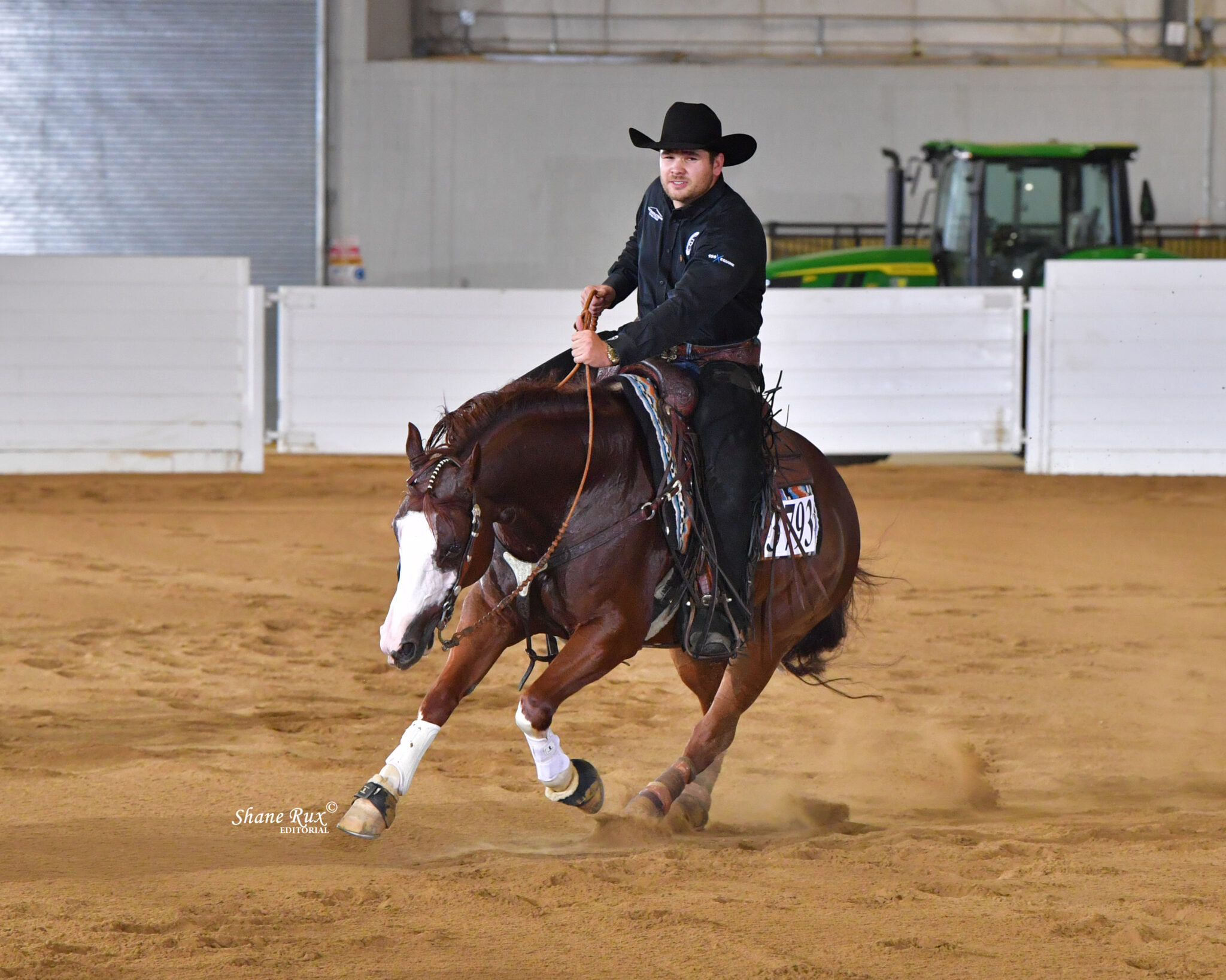 Reiners Shine at the 2025 All-American Quarter Horse Congress - Horse ...