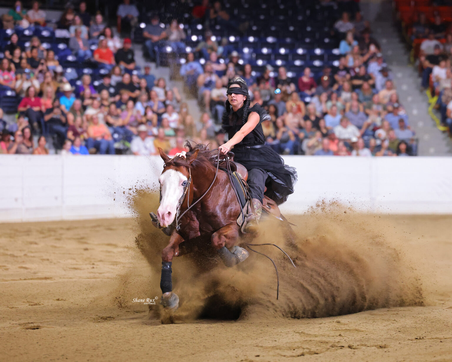 Taylor Roeder and Custom Nite Win Congress Freestyle Reining - Horse ...