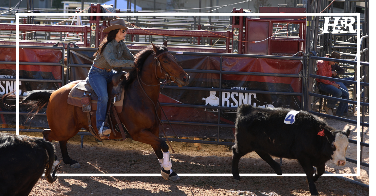 Cowboy Town Showdown: Ranch Sorting by Day, NFR by Night
