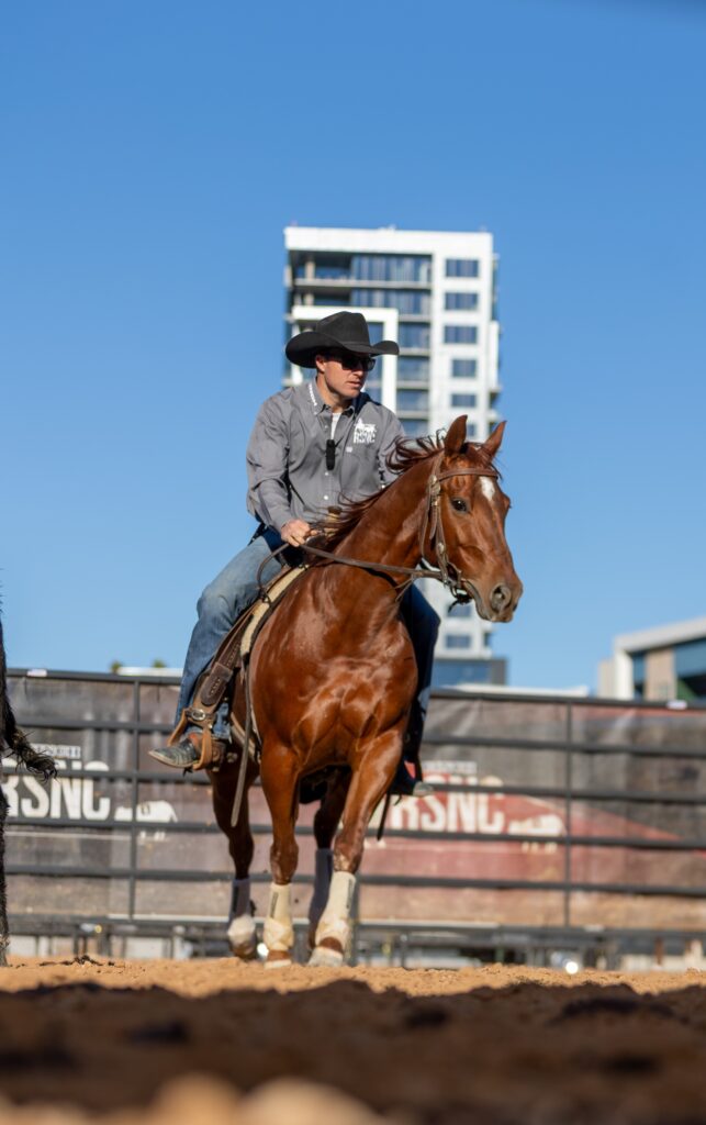 Victories in Vegas: Wolfe, Stresen-Reuter, Lenihan, and Turner Awarded ...