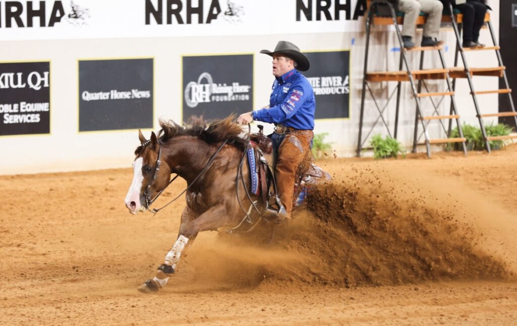 National Day of the Horse: Horses in the Headlines 2025