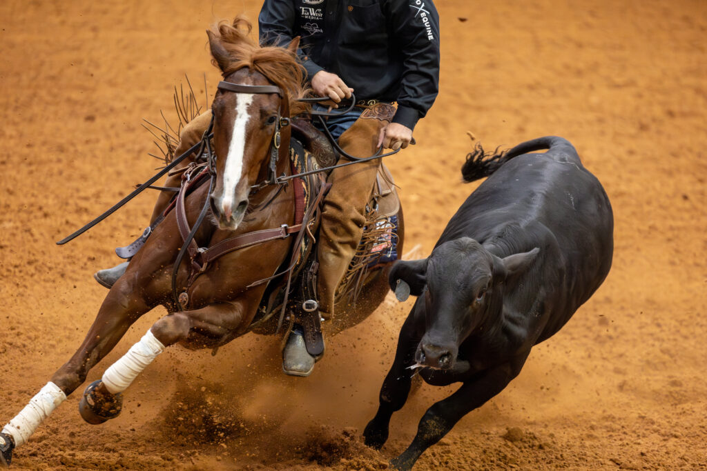 National Day of the Horse: Horses in the Headlines 2025