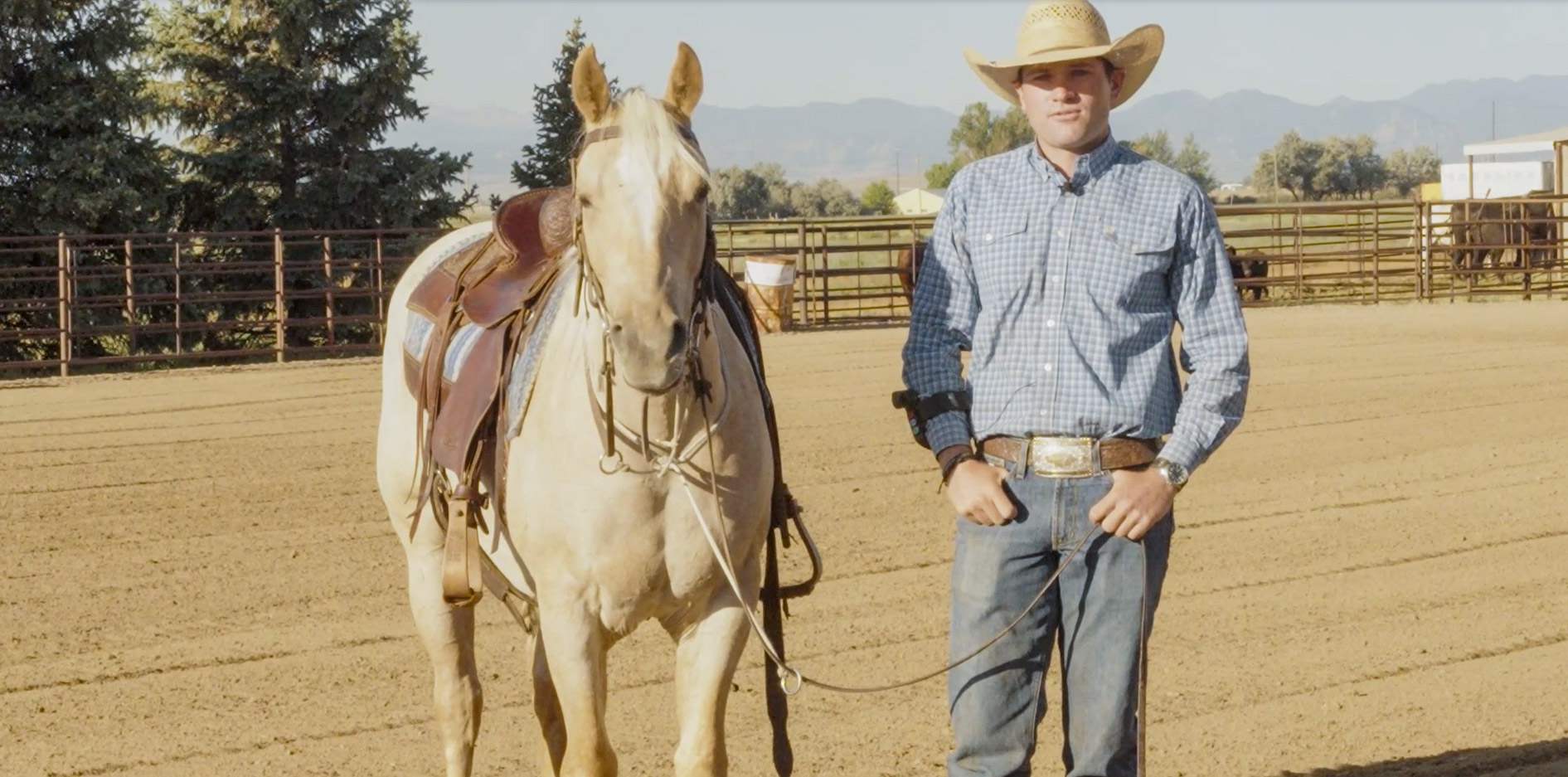 Sorting Smart: Kody Ward's Ranch Sorting Training Video Lessons