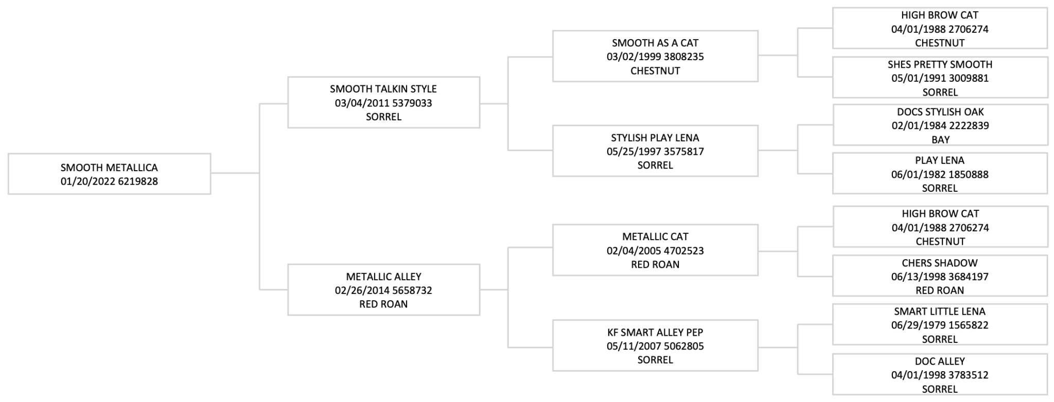 Results: Augusta Futurity